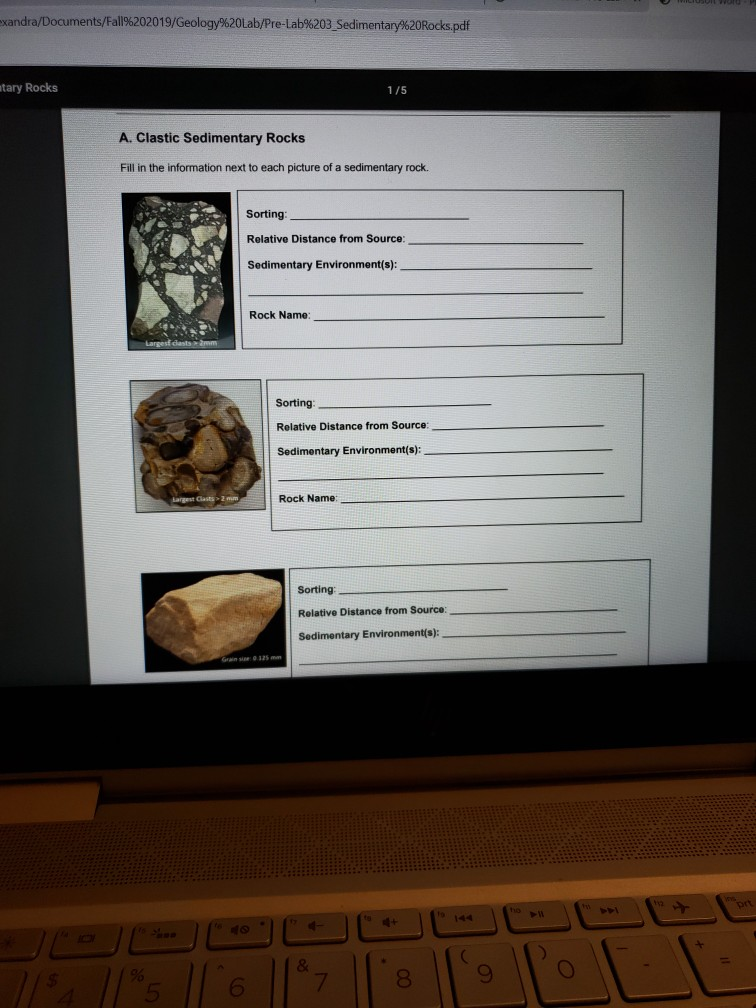 Solved GeorgiaSouthern- Uni x Pre-Lab 3 Sedimentary Ro | Chegg.com