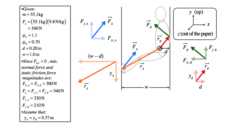 Solved y (up) Given: m= 55.1 kg F, =(55.1kg)(9.8N/kg) = 540N | Chegg.com