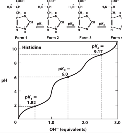 Solved Based on the information in the figure below, which | Chegg.com