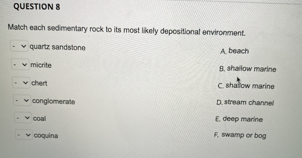 Solved QUESTION 8 Match each sedimentary rock to its most | Chegg.com