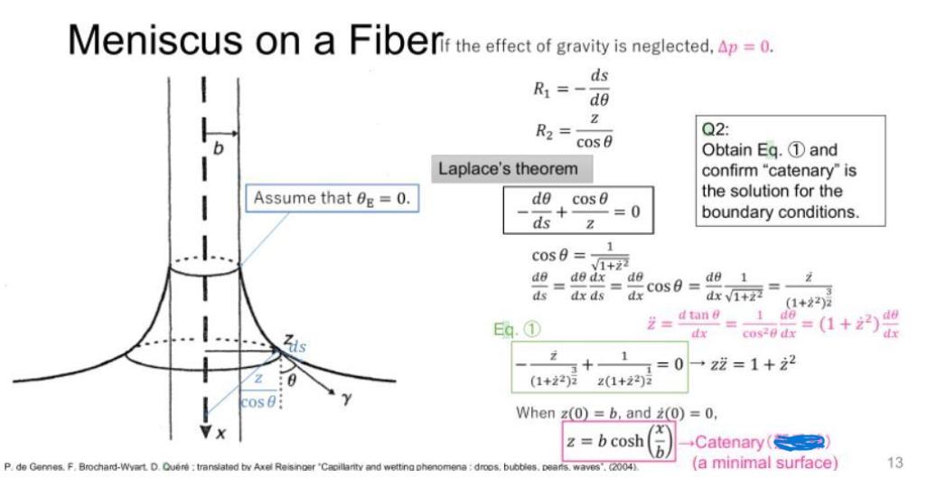 Solved Meniscus on a Fiberif the effect of gravity is | Chegg.com