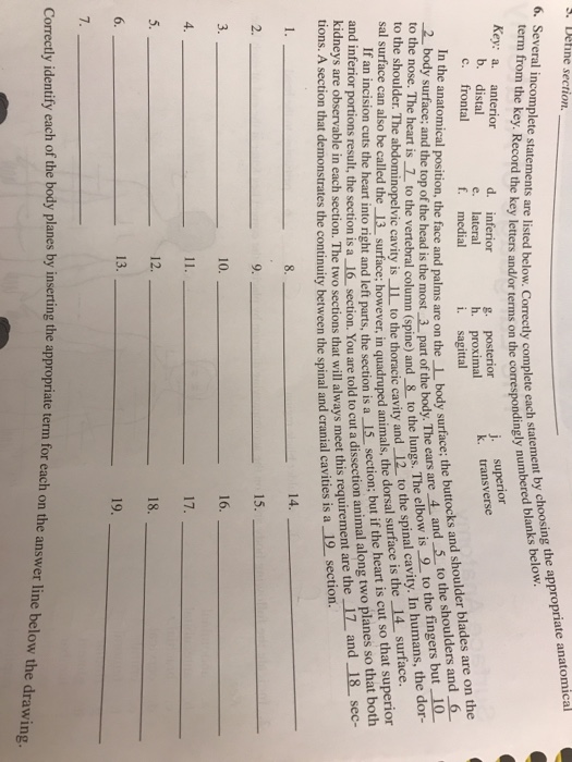 Solved . Detine section al Several incomplete statements are | Chegg.com