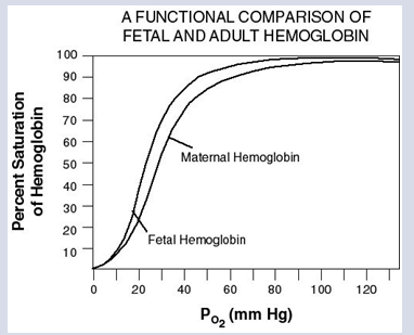 Solved Refer to the graph below. A) At a PO2 of 80 mm Hg, | Chegg.com