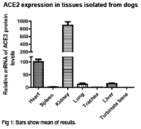Solved What are the good, and what are the bad aspects of | Chegg.com