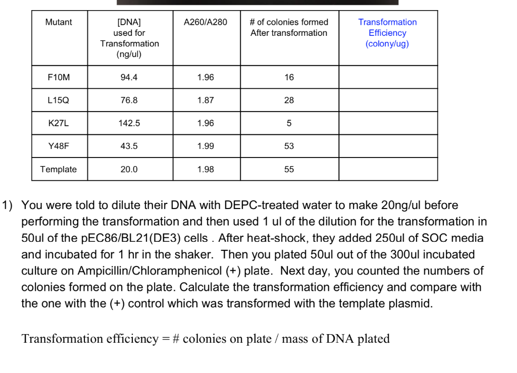 Solved Mutant A260/A280 [DNA] used for Transformation # of | Chegg.com