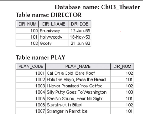 Solved Database name: Ch03_Theater Table name: DIRECTOR | Chegg.com