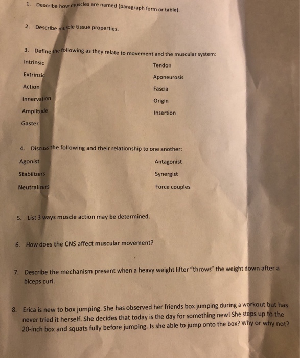 Solved 1. Describe how muscles are named (paragraph form or | Chegg.com