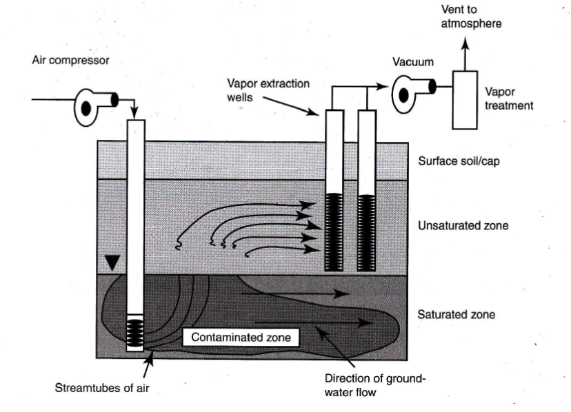 Solved Please examine the picture above and check all | Chegg.com