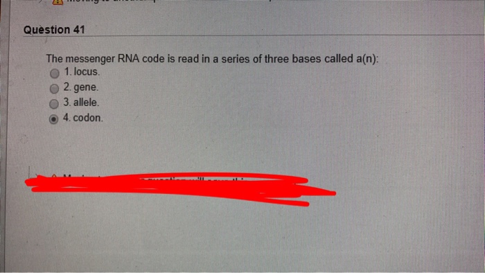 Solved Question 41 The messenger RNA code is read in a | Chegg.com
