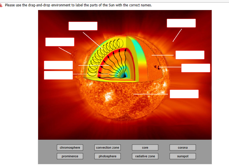 Solved Please use the drag-and-drop environment to label the | Chegg.com