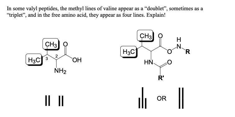 Solved In some valyl peptides, the methyl lines of valine | Chegg.com