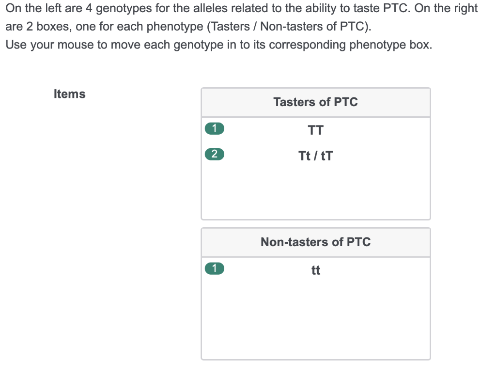 Solved On the left are 4 genotypes for the alleles related | Chegg.com