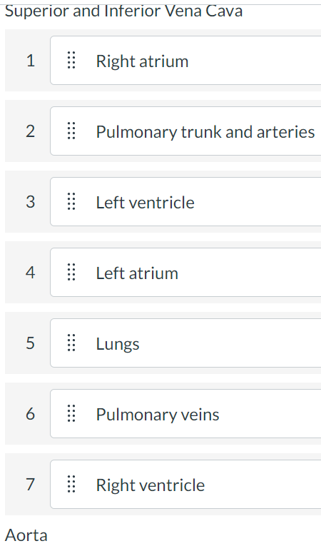 Solved Superior and Inferior Vena Cava 1 2 3 4 5 6 7 Aorta | Chegg.com