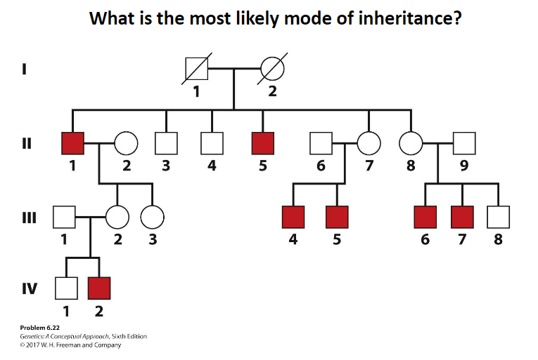 Solved What is the most likely mode of inheritance? | Chegg.com