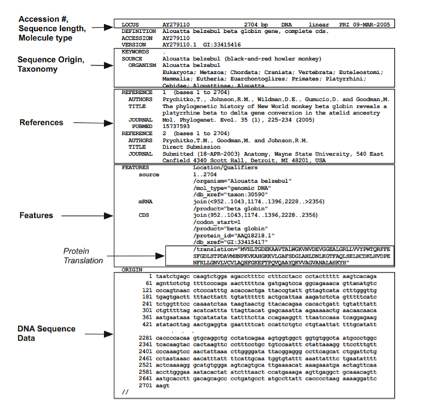 Solved The International Nucleotide Sequence Database | Chegg.com