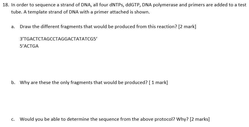 Solved 18. In order to sequence a strand of DNA, all four | Chegg.com