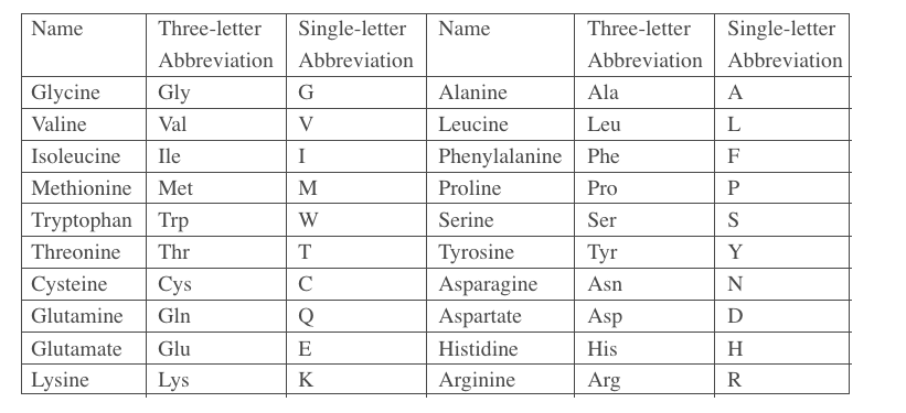 Solved A tripeptide chain from the N-terminal to the | Chegg.com