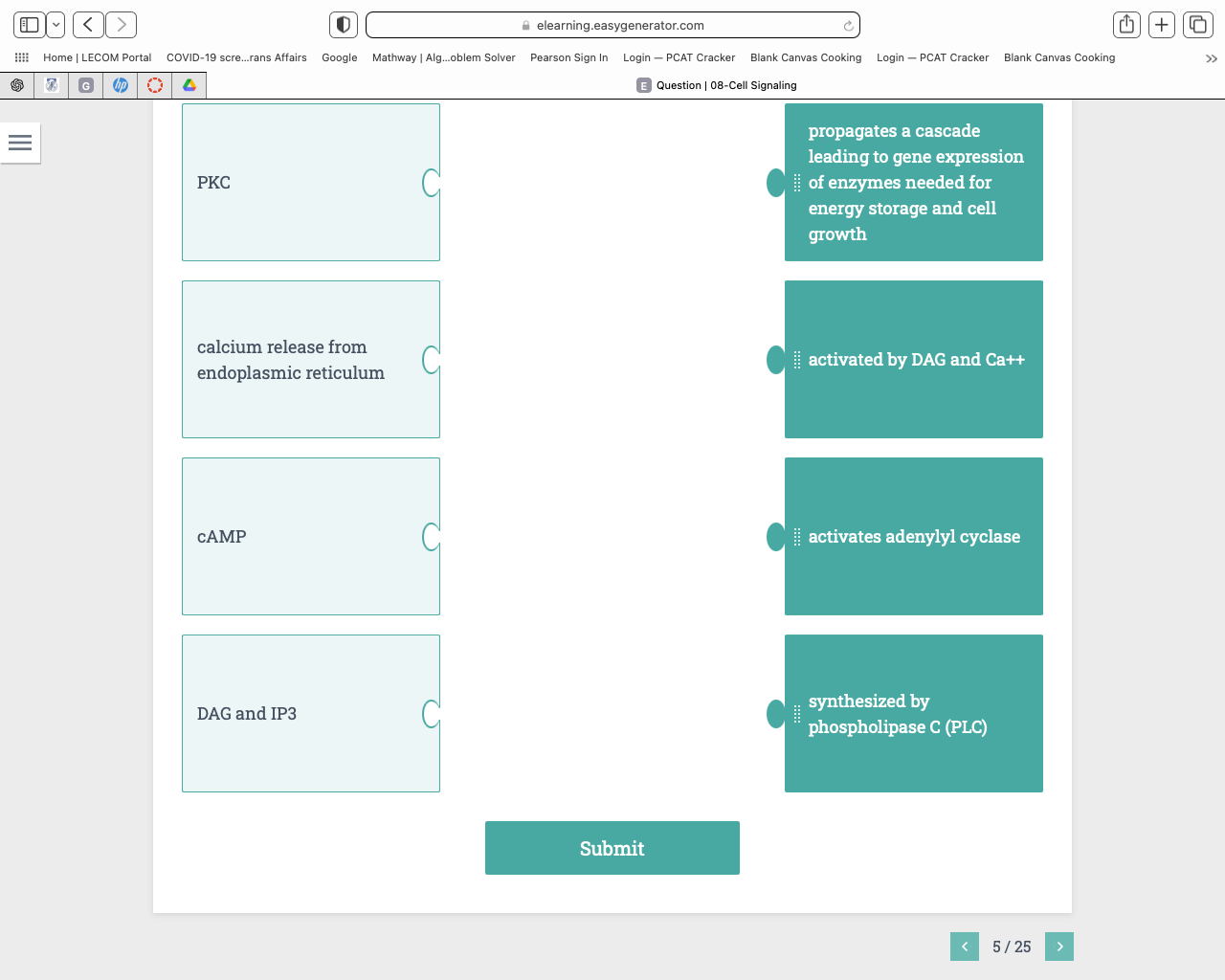 Solved G-alpha-s bound to GTP Ras bound to GTP G-alpha-q | Chegg.com