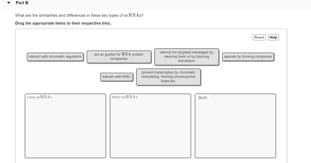 Solved Part B What are the similarities and differences in | Chegg.com