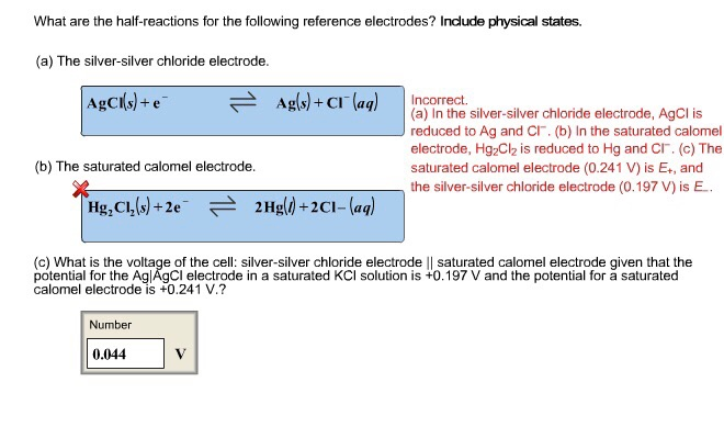 Solved What are the half-reactions for the following | Chegg.com