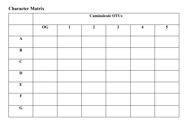 Solved I need help with character list, character matrix | Chegg.com