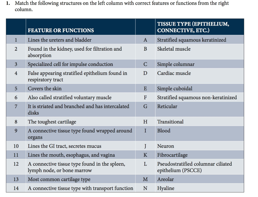 Solved Match the following structures on the left column | Chegg.com