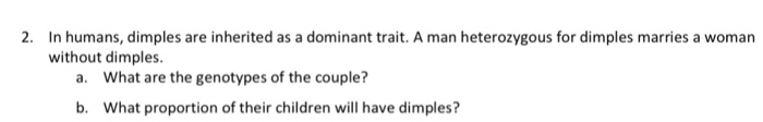 Solved In humans, dimples are inherited as a dominant trait. | Chegg.com