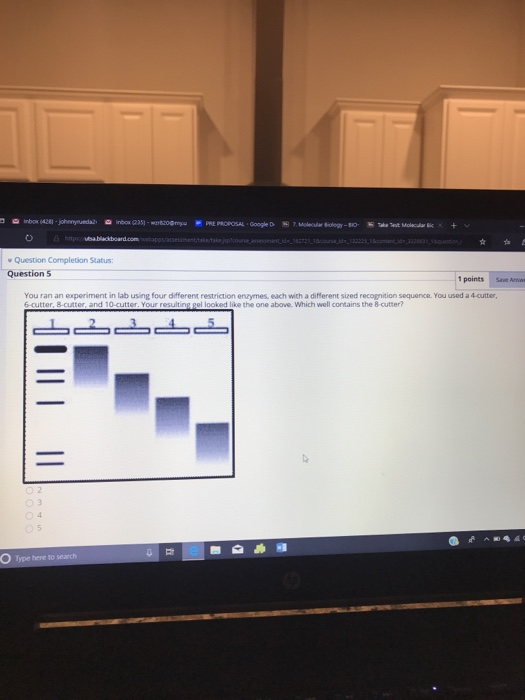 Solved Question Completion Status Question5 points Save Amn | Chegg.com