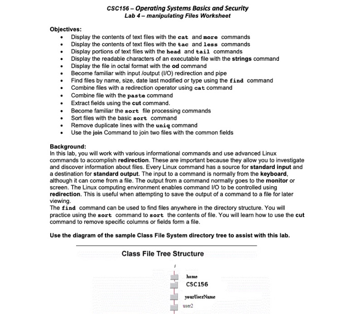 CSC156-Operating Systems Basics and Security Lab | Chegg.com