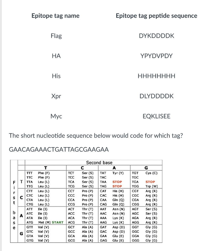 Solved Epitope tag name Epitope tag peptide sequence Flag | Chegg.com