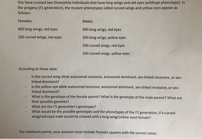 Solved You have crossed two Drosophila individuals that have | Chegg.com