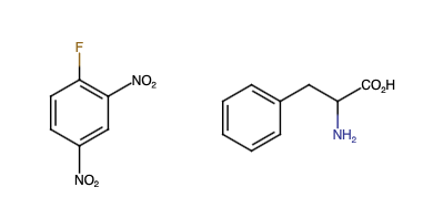 Sanger's reagent, 2,4-dinitrofluorobenzene, is a good | Chegg.com