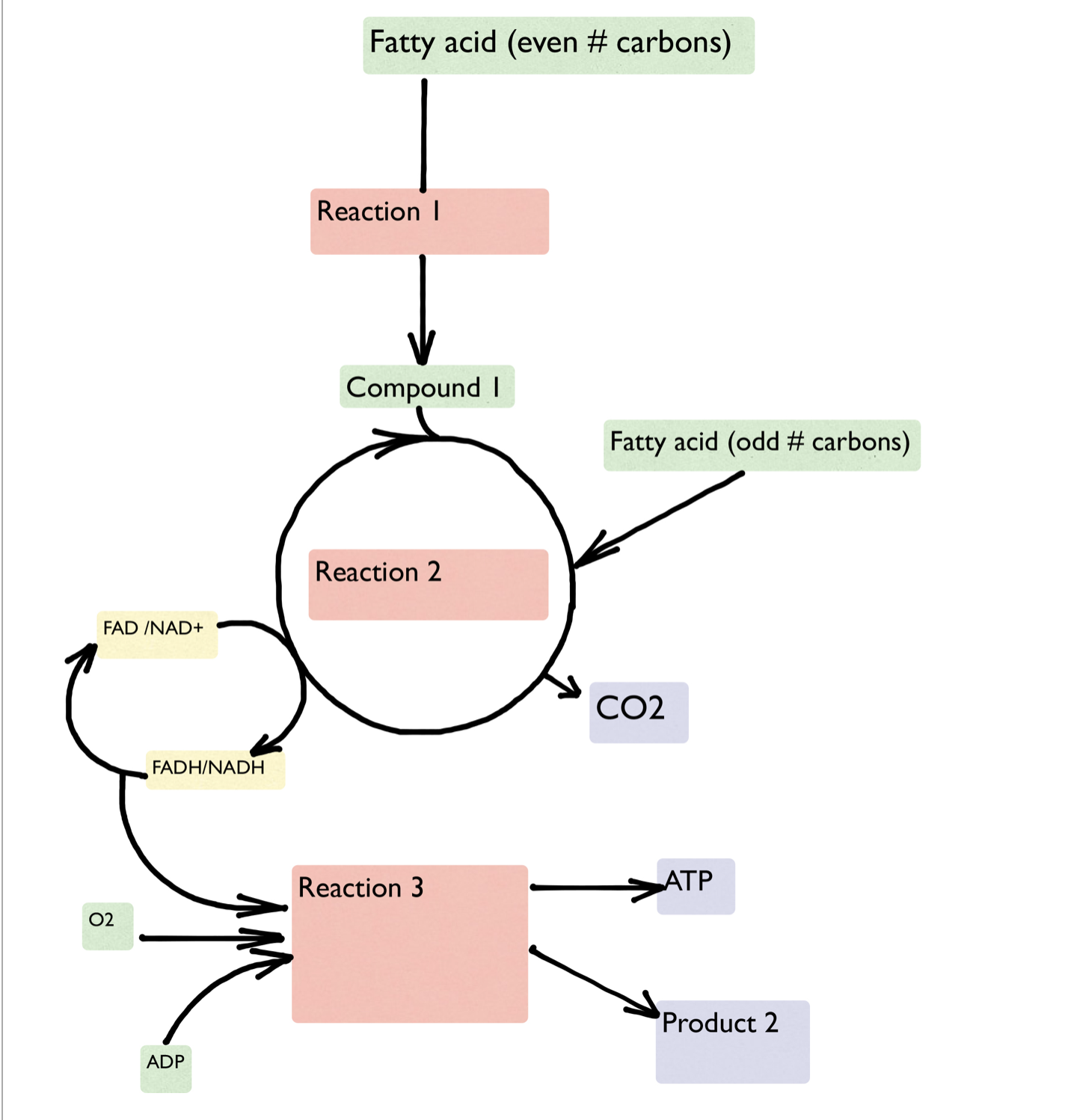 Solved what is product 2? | Chegg.com