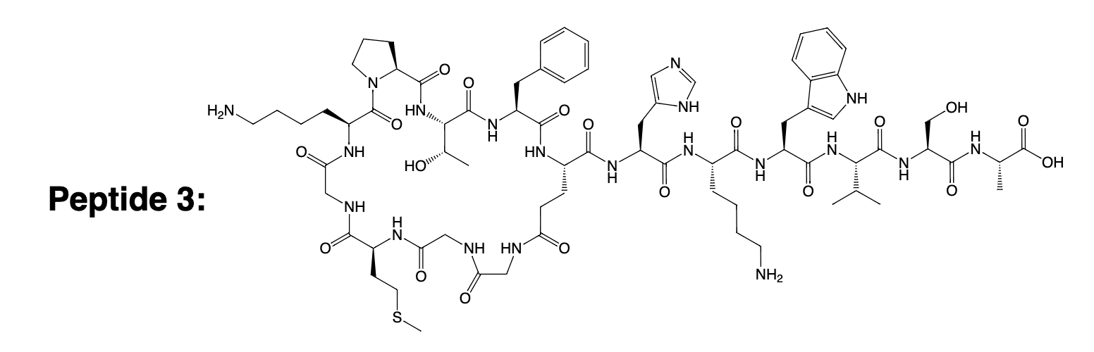 Solved For the proline residue in peptide 3, would a phi | Chegg.com