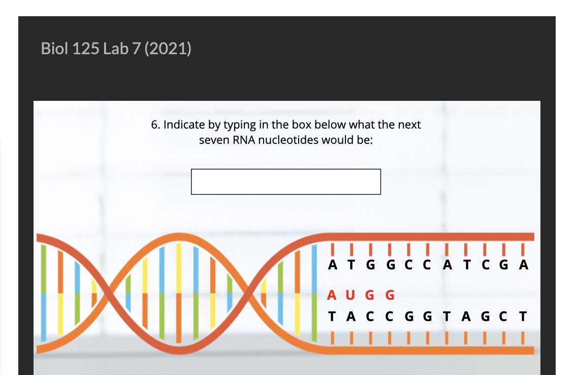 Solved 6. Indicate by typing in the box below what the next | Chegg.com