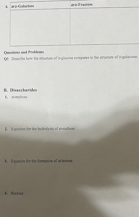 Solved Questions and Problems Q1 Describe how the structure | Chegg.com