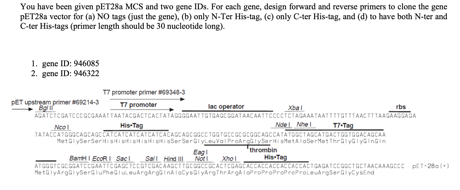 You have been given pET28a MCS and two gene IDs. For | Chegg.com