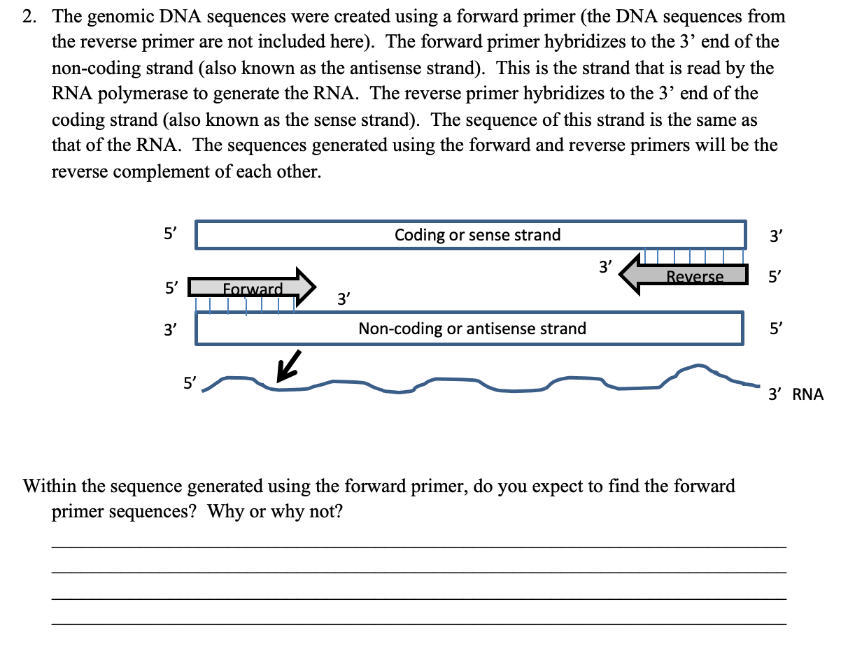 Solved 2. The genomic DNA sequences were created using a | Chegg.com