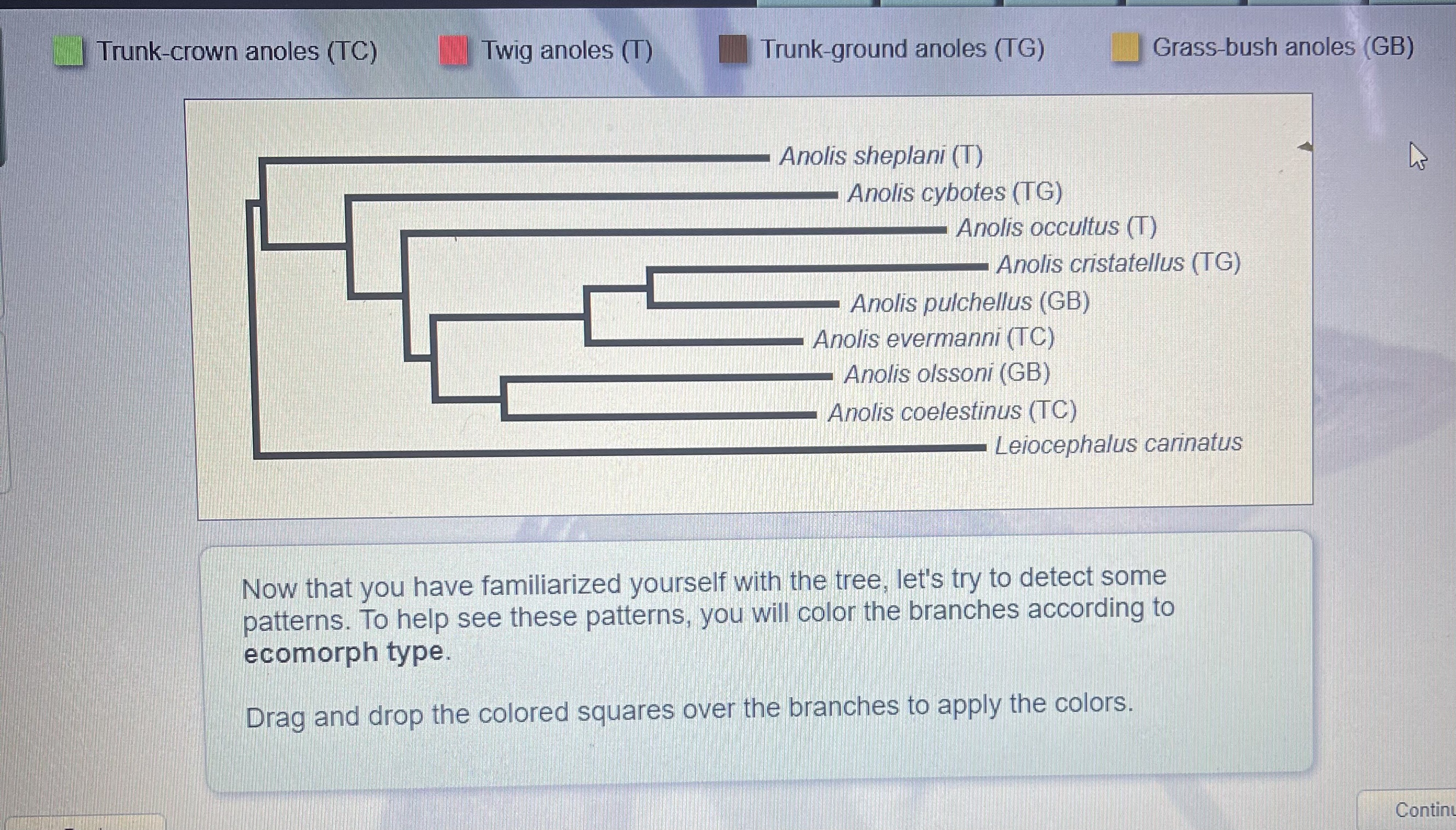 Solved Trunk-crown anoles (TC)Twig anoles (T)Trunk-ground | Chegg.com
