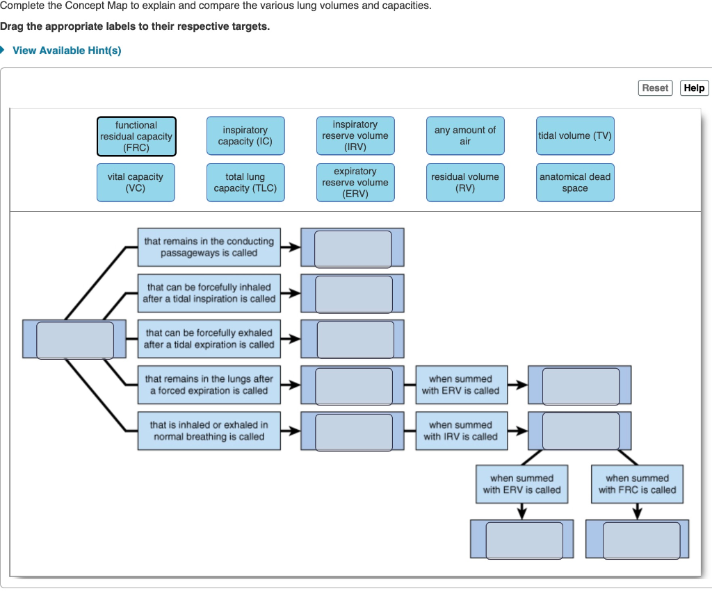 Solved Complete the Concept Map to explain and compare the | Chegg.com