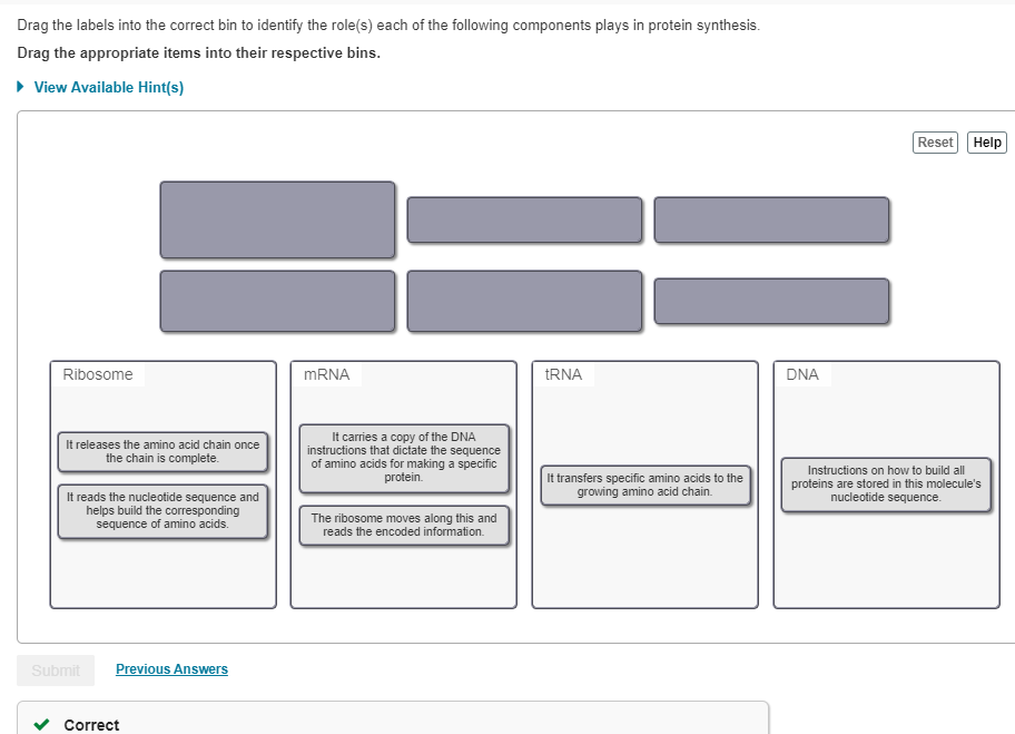 Solved Drag the labels into the correct bin to identify the | Chegg.com