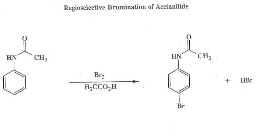 Solved Regioselective Bromination of Acetanilide HN CH HN | Chegg.com