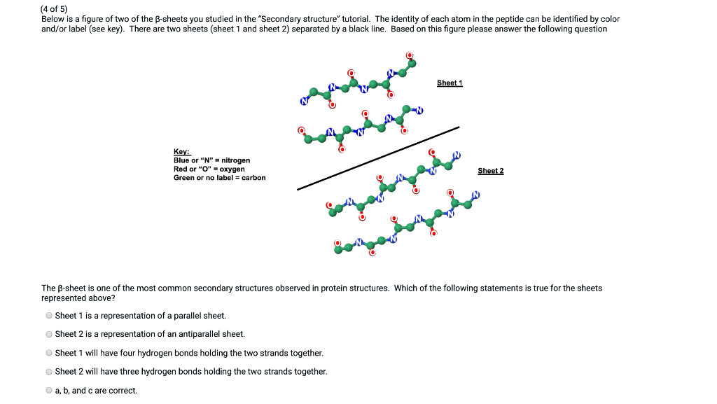 Solved (4 of 5) Below is a figure of two of the B-sheets you | Chegg.com