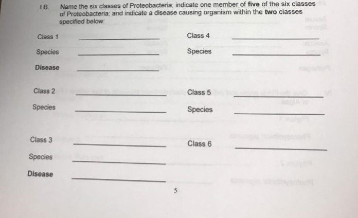 Solved I.B. Name the six classes of Proteobacteria, indicate | Chegg.com