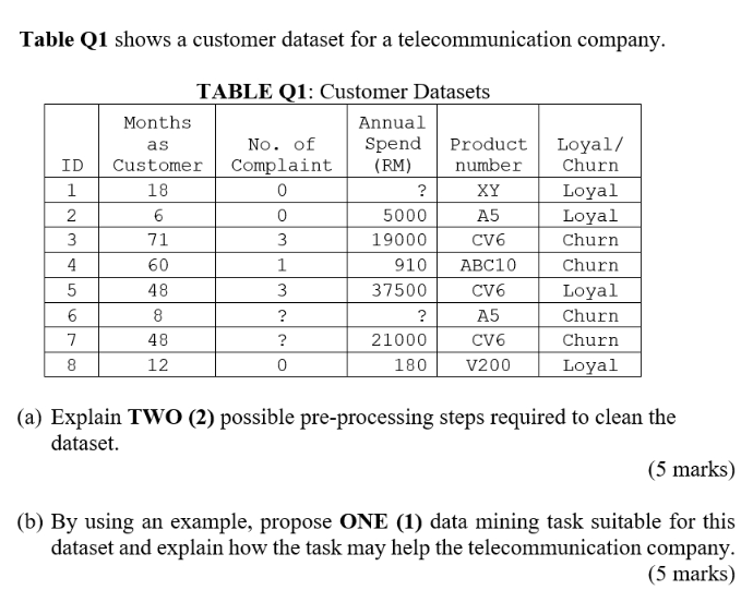 Solved Table Q1 shows a customer dataset for a | Chegg.com