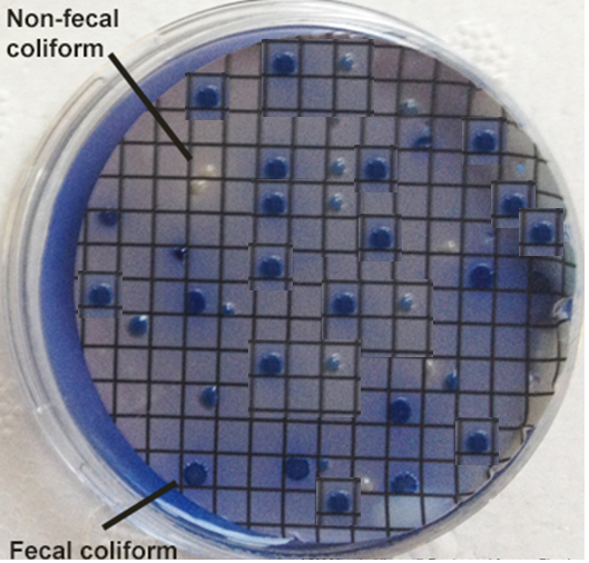 Solved A group of students (group 1) perform an experiment | Chegg.com