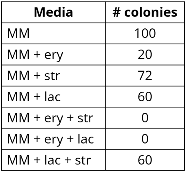 Solved Two strains are mated as shown below. The last two | Chegg.com