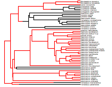 This is a phylogenetic tree created using R studio In | Chegg.com