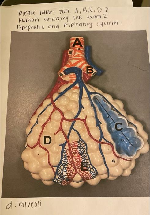 label the name of the parts | Chegg.com