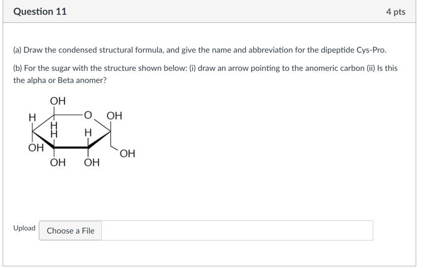 Dipeptide Structural Formula